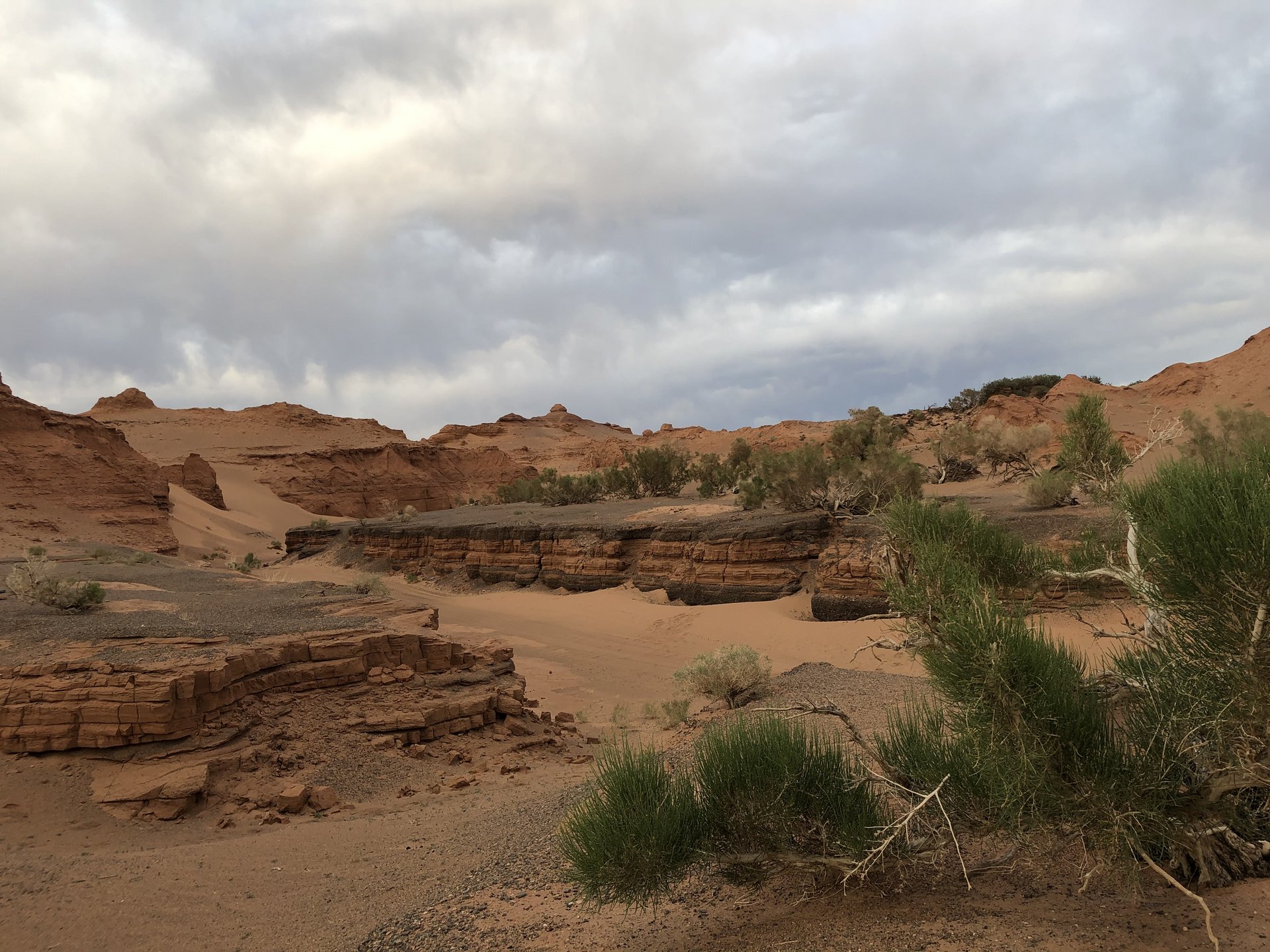 Die zauberhafte Wüste Gobi