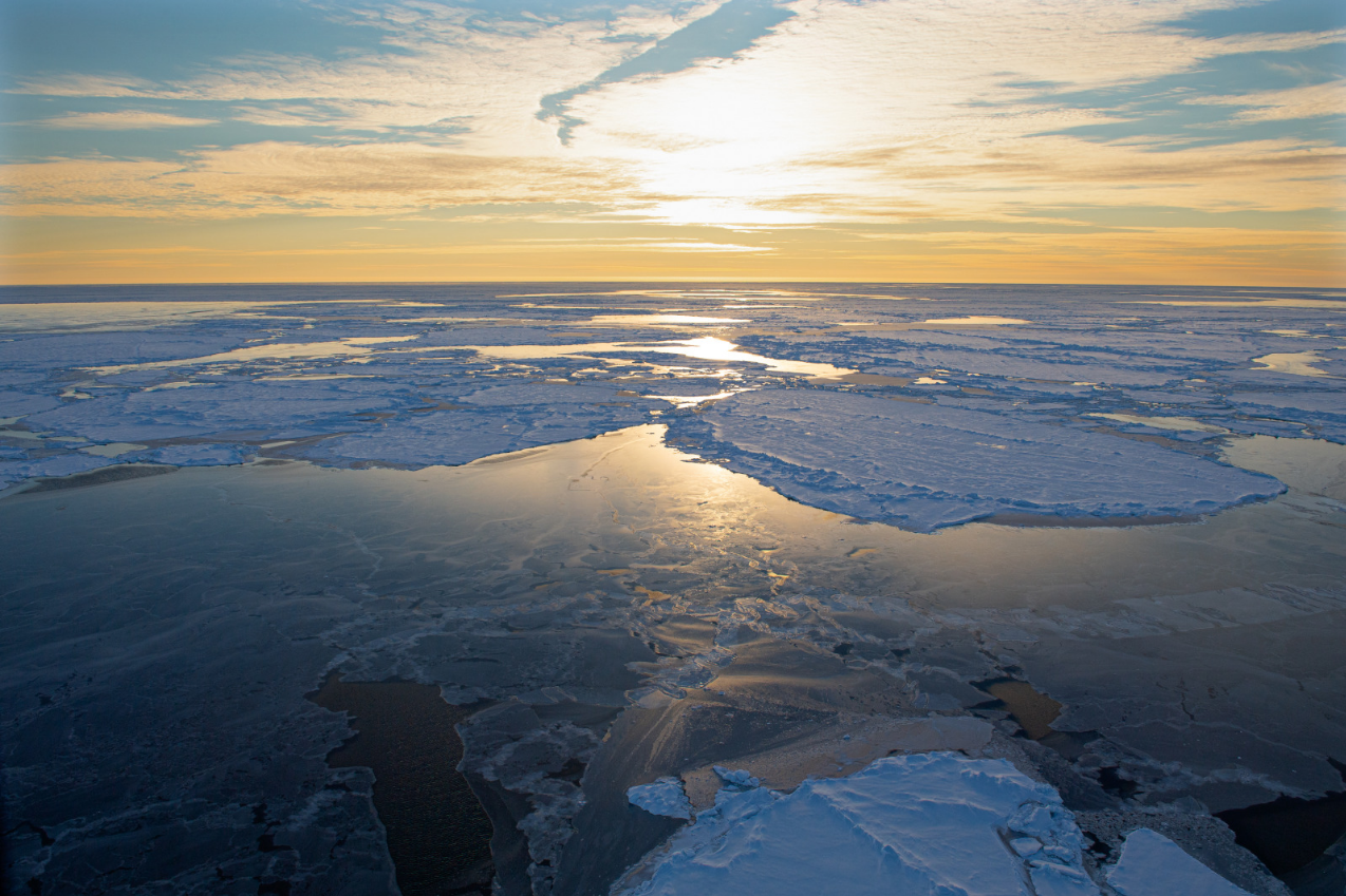 Reise entlang der Packeisgrenze von Grönland nach Island
